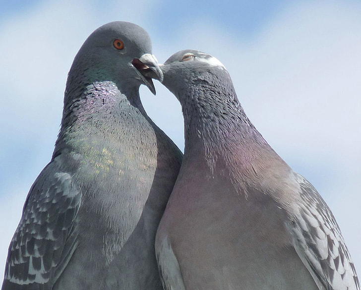 Erin Lunde – Writer